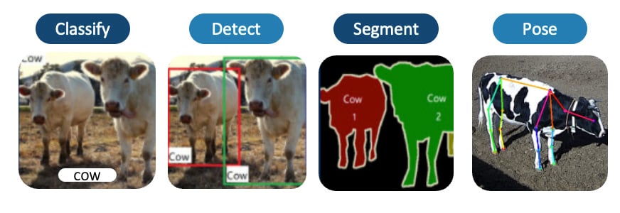 Deeplite | Optimized AI Models for the Edge